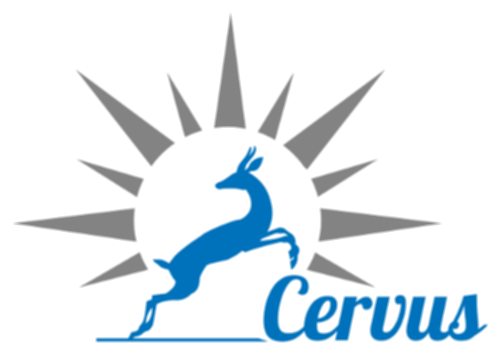Cervus